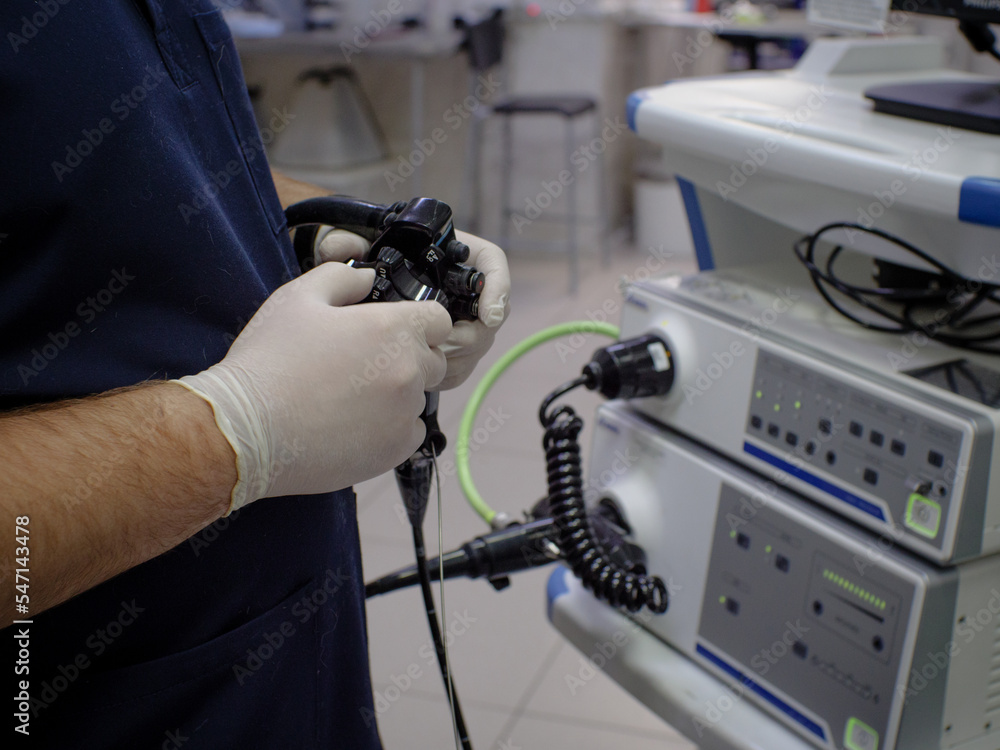 In a veterinary clinic, an endoscopic examination of the ...