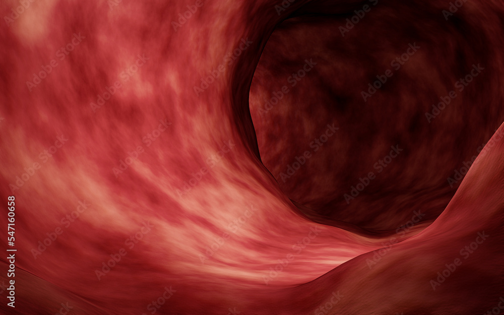 Concept Internal Veins in human or animal body. Internal Veins without ...