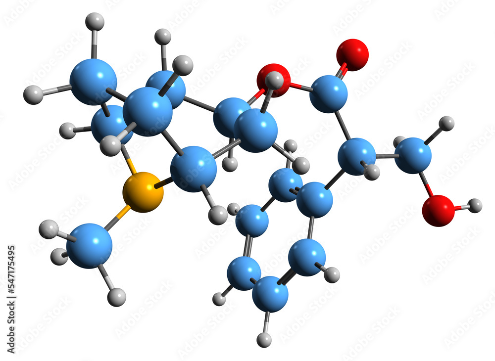 3D image of Hyoscyamine skeletal formula - molecular chemical structure ...