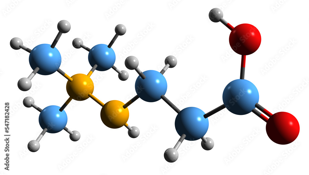 3D image of Meldonium skeletal formula - molecular chemical structure ...