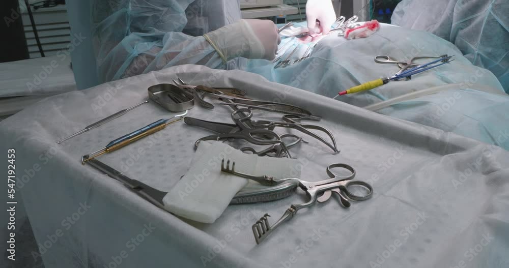 Veterinary doctors conducting sterilization of an animal. There is a ...