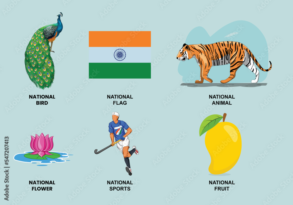 SET OF NATIONAL SYMBOLS OF INDIA Stock Vector | Adobe Stock