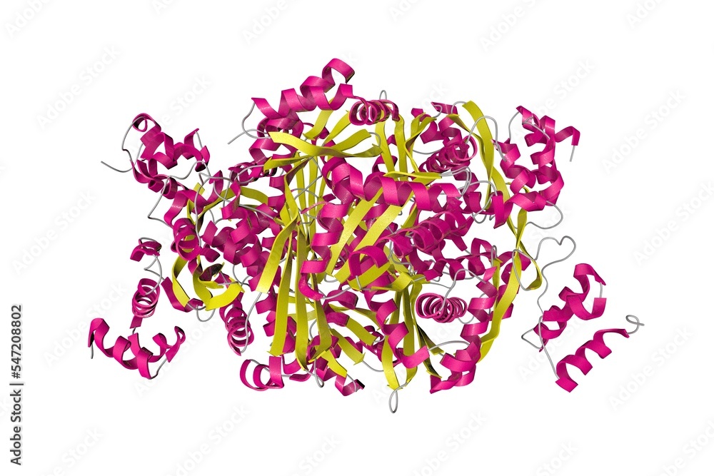 Complex of the catalytic portion of human HMG-CoA reductase with HMG ...
