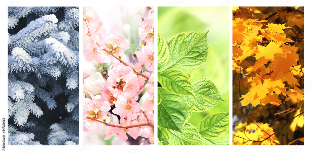 Four seasons of year. Set of vertical nature banners with winter ...