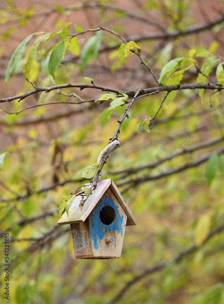 Nestbox, man-made enclosure provided for birds, in which case they are ...