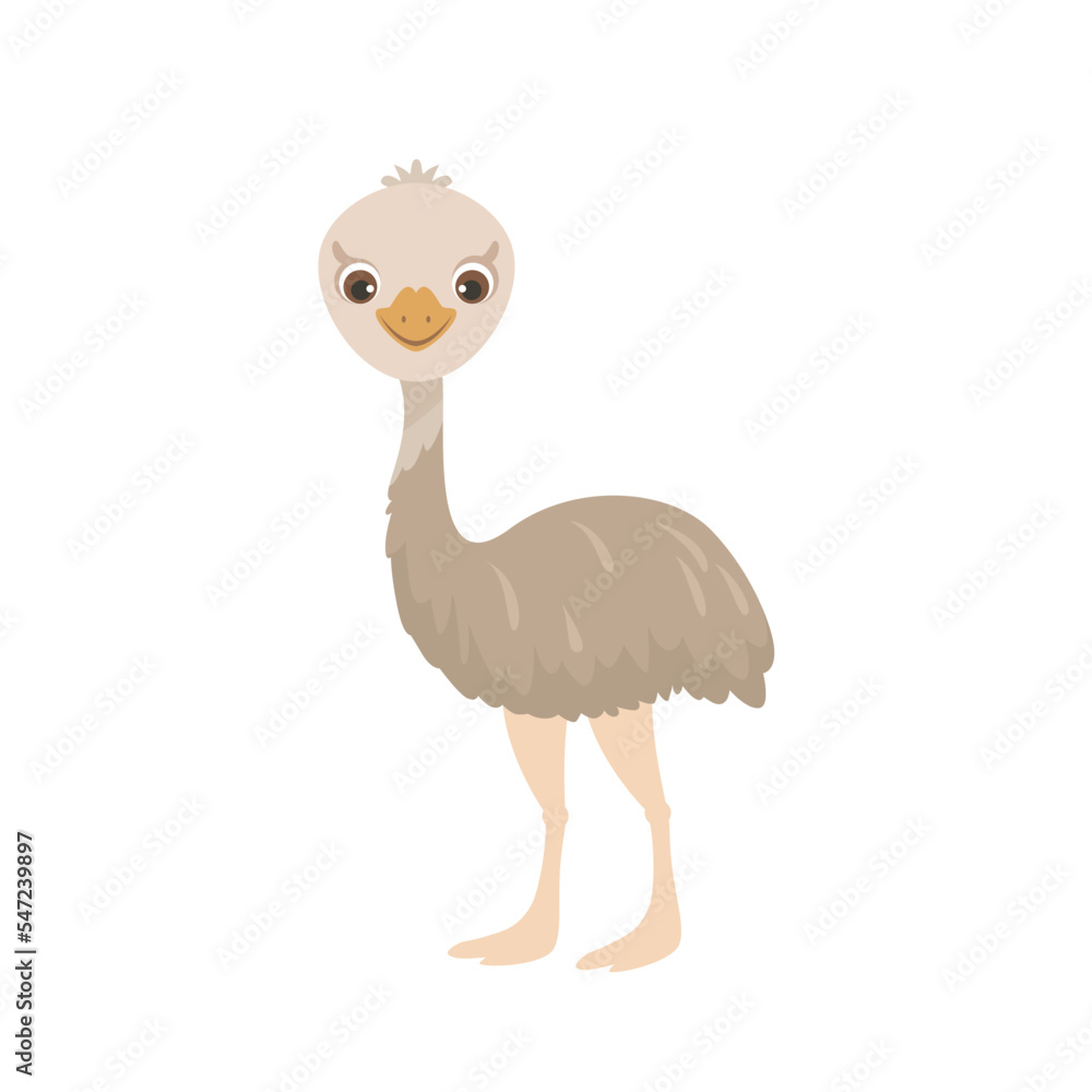 Cute Emu icon. Funny Australian bird. Vector cartoon flat illustration ...