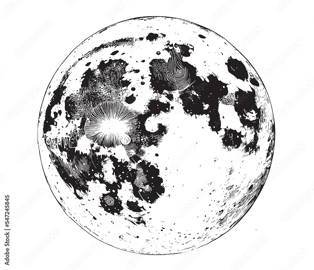 Moon hand drawn engraving style sketch Sea animals Vector illustration ...