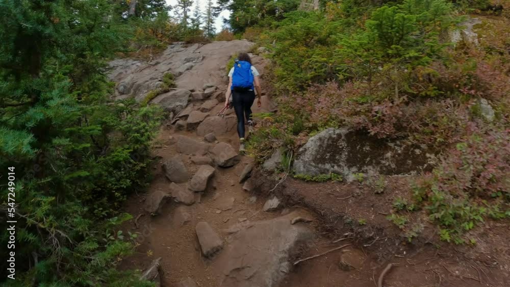 Stockvideon Adventurous Woman Hiker on a hiking trail at top of ...
