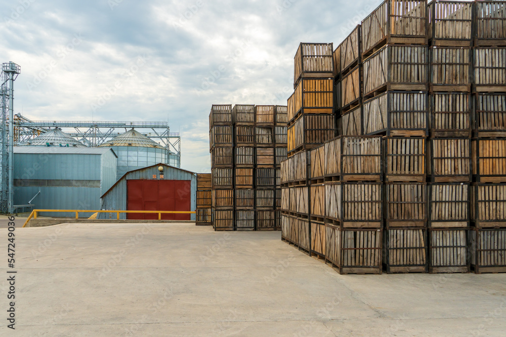 rows of wooden crates, crates and pallets for storing and transporting ...