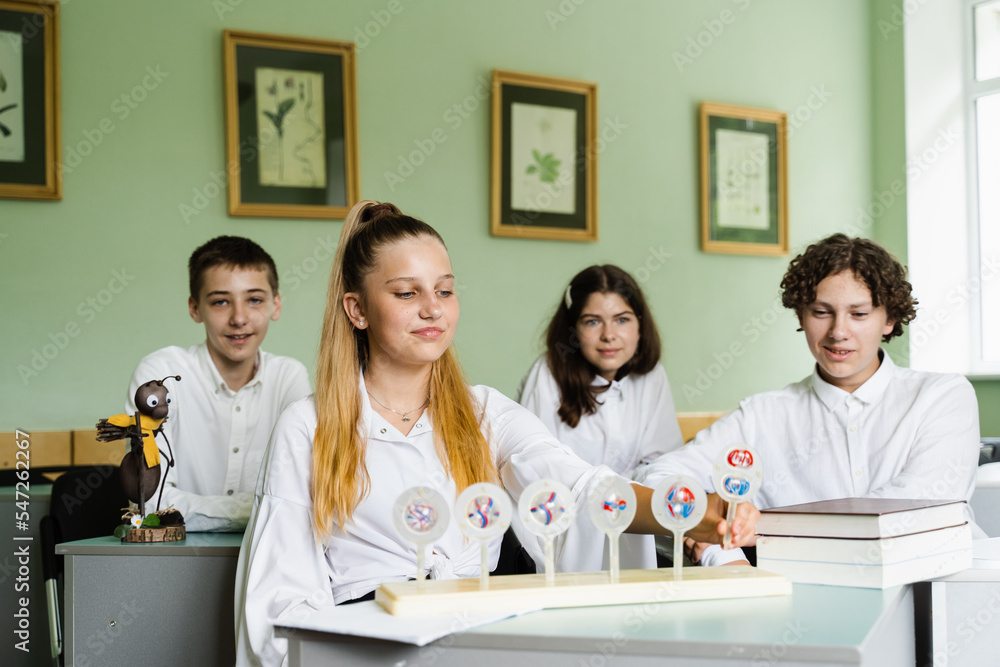 Pupils at biology lesson at school with animal cell models on the table ...