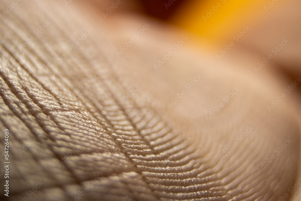 Macro healthy human skin. Dermatology pattern concept. Closeup human ...