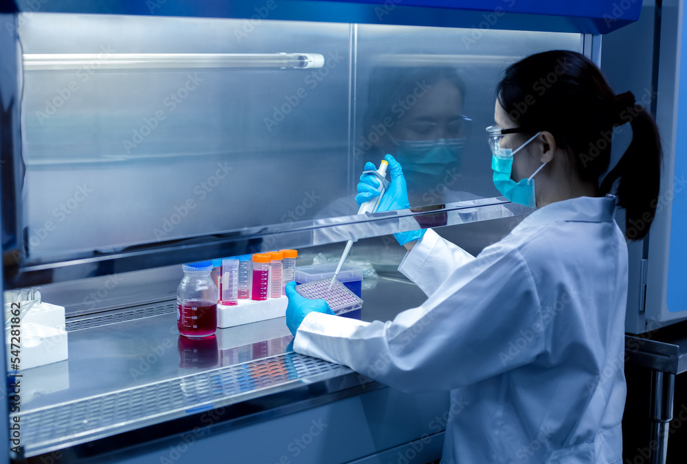 Scientist used a micro pipette in sample preparation in laboratory fume ...