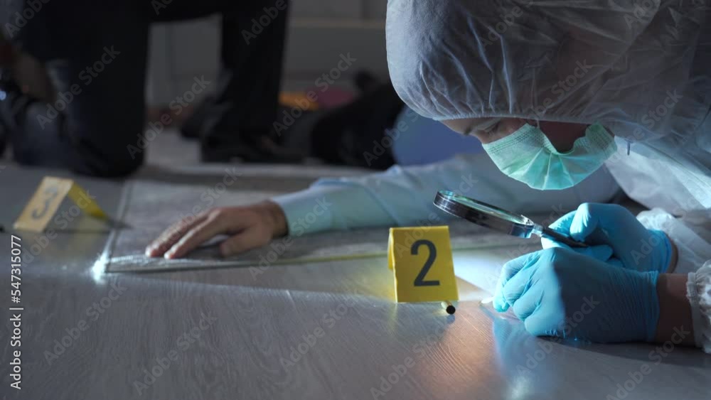 Forensic criminologist man and detective working at the crime scene ...