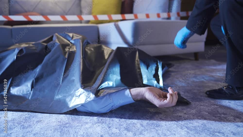 Detective looking at body bag at crime scene. Forensic investigation ...