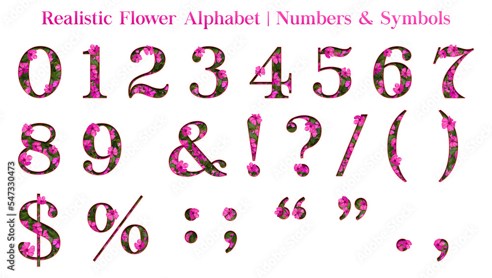 Realistic flower numbers and symbols. This is a part of an alphabet set ...