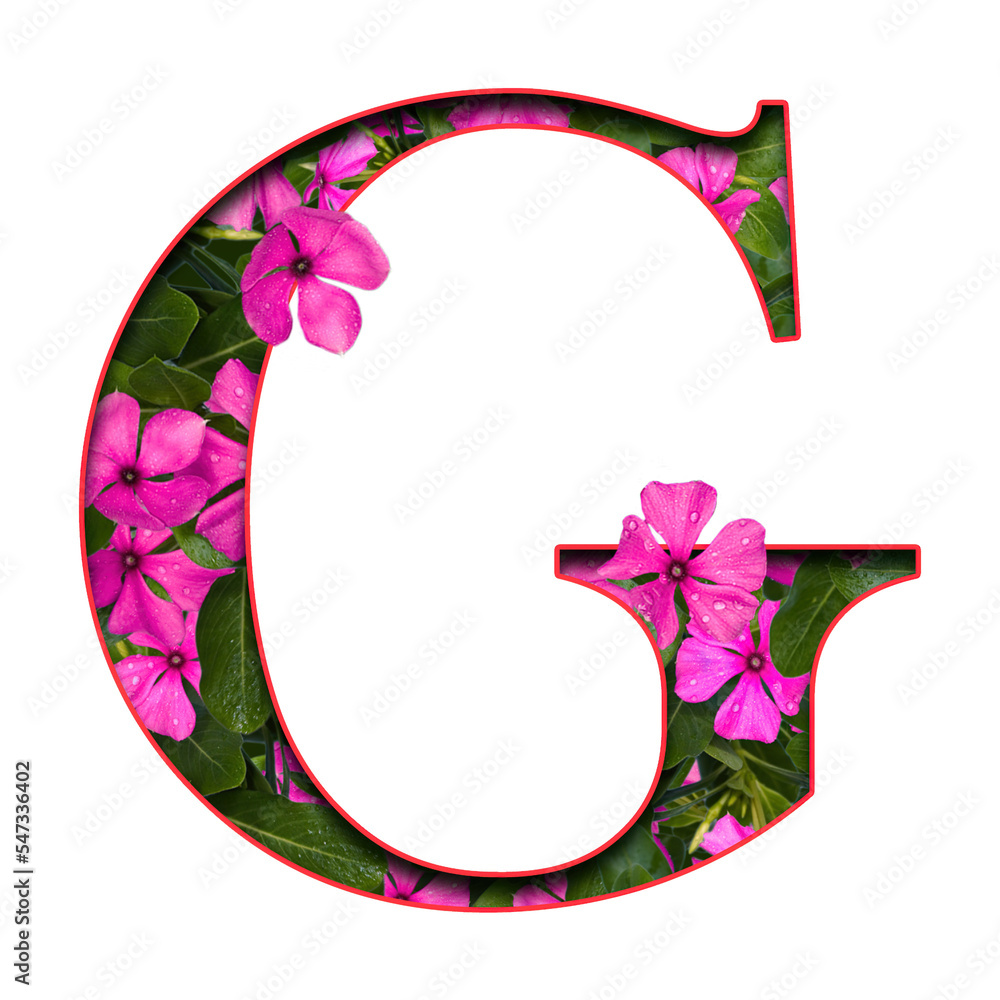 Realistic Flower Alphabet Letter G Stock Illustration | Adobe Stock