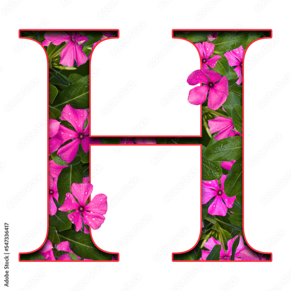 Realistic Flower Alphabet Letter H Stock Illustration | Adobe Stock