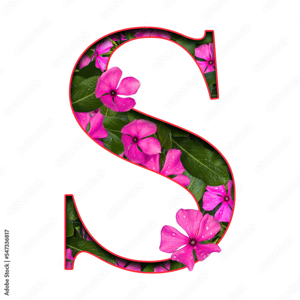 Realistic Flower Alphabet Letter S Stock Illustration | Adobe Stock