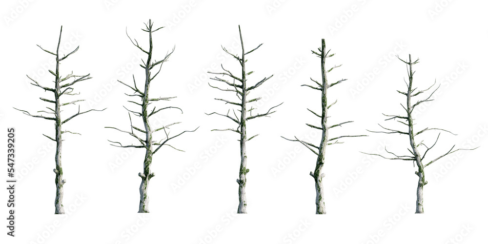 3D Green Dead Trees Isolated on PNGs transparent background , Use for ...