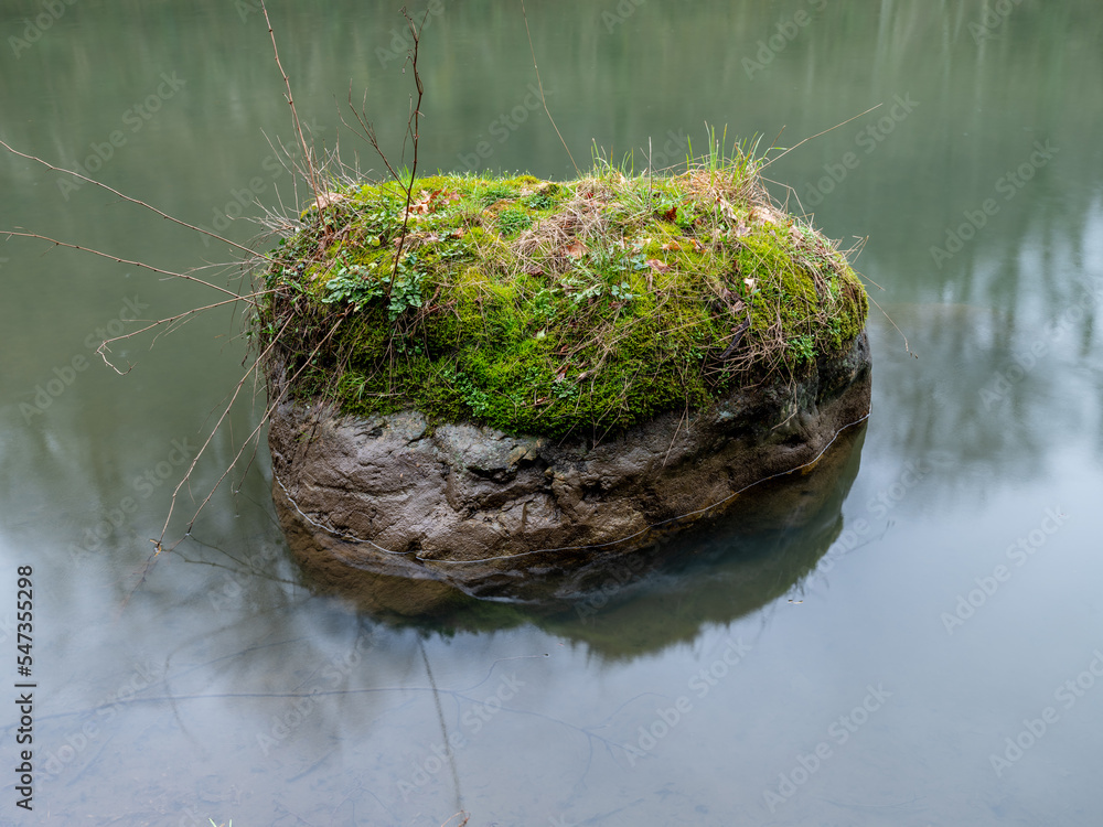 Le rocher, seul isolé au centre d'un étang recouvert de mousse Stock ...