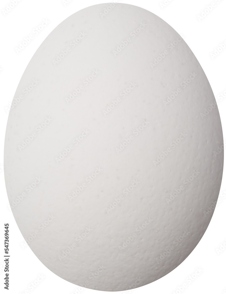 white egg isolated on white Stock Photo | Adobe Stock
