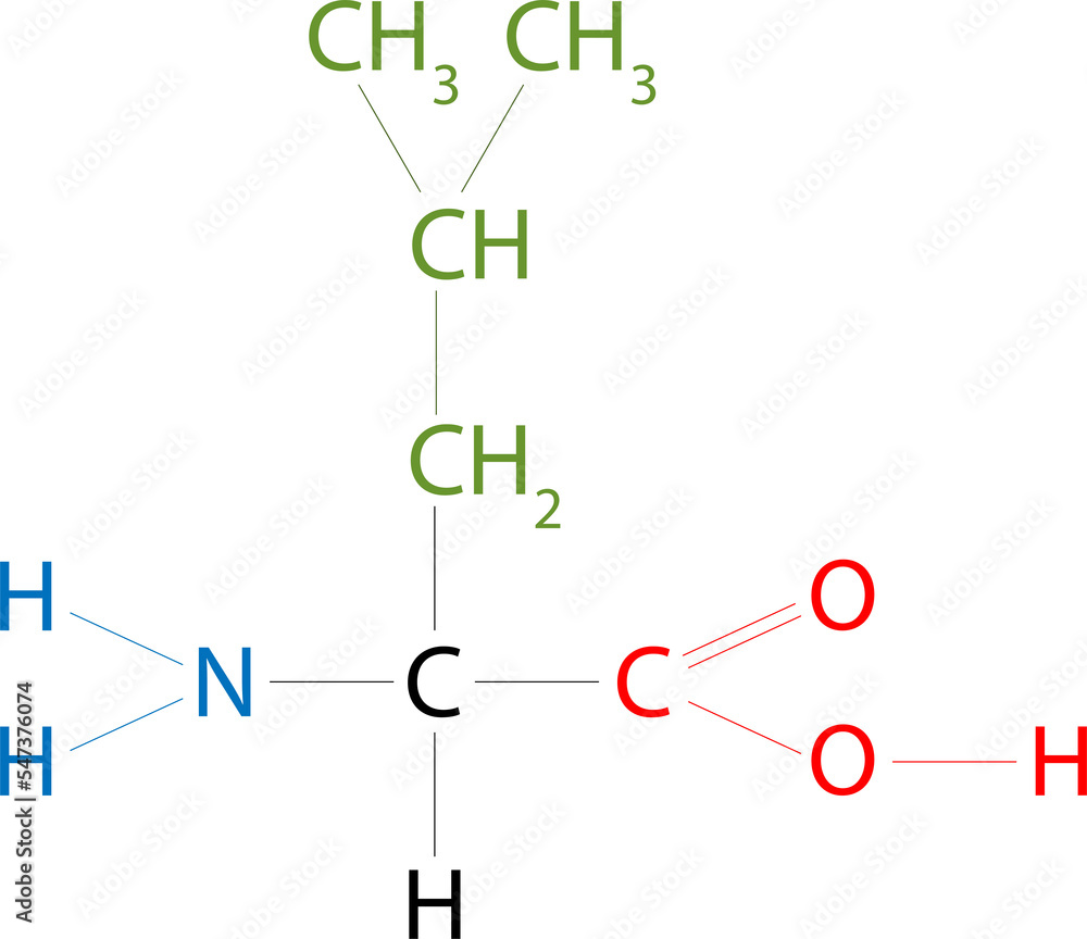 The structure of Leucine. Leucine is an amino acid that has a side ...