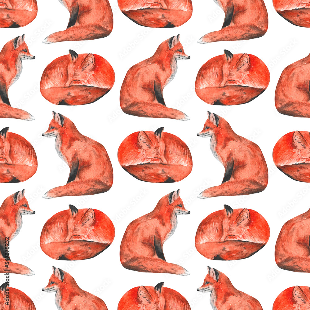 watercolor pattern of sly red fox set on isolated white background ...