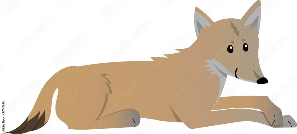 Cute cartoon lying Coyote Vector illustration. Side view. Illustration ...