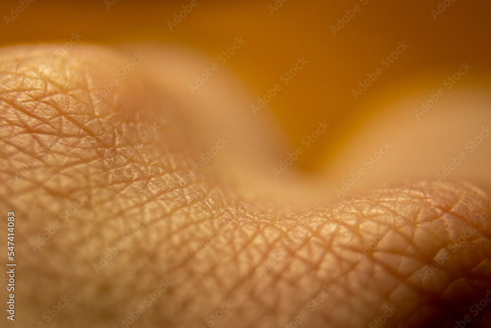 Macro human skin texture. Dermatology pattern. Abstract skin Stock ...