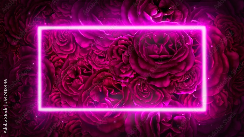 Pink neon frame on Pink roses background. 8k wallpaper for tv or PC ...