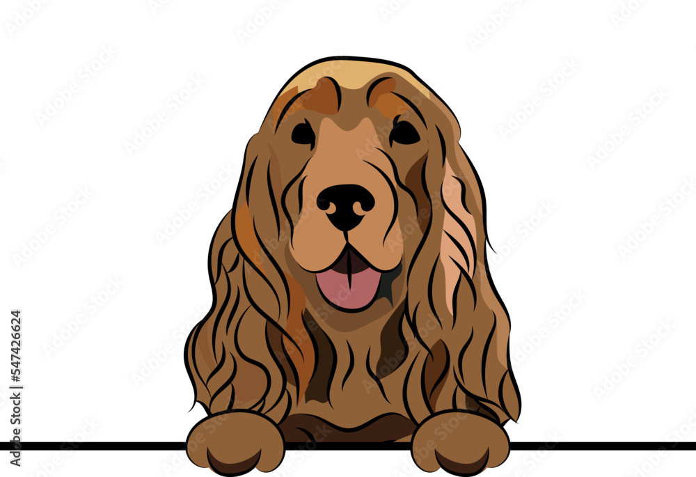 Funny Cocker Spaniel dog with paws over a white wall, in a pocket ...