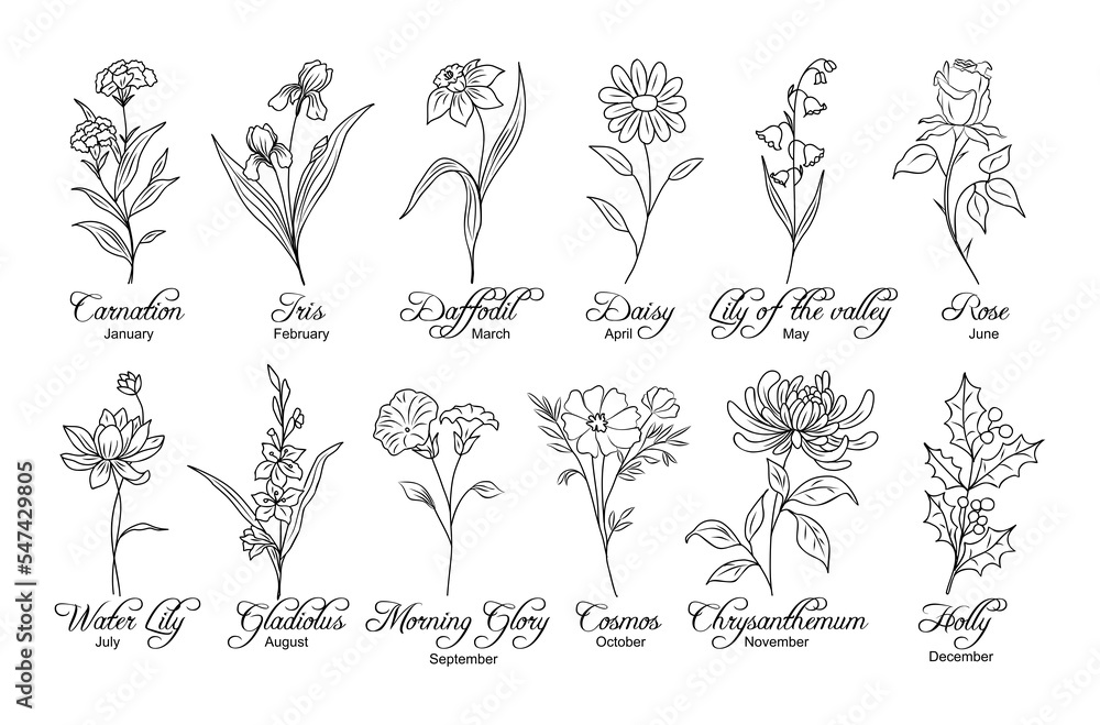 Set of flower line art illustrations. Carnation, daffodil, daisy ...
