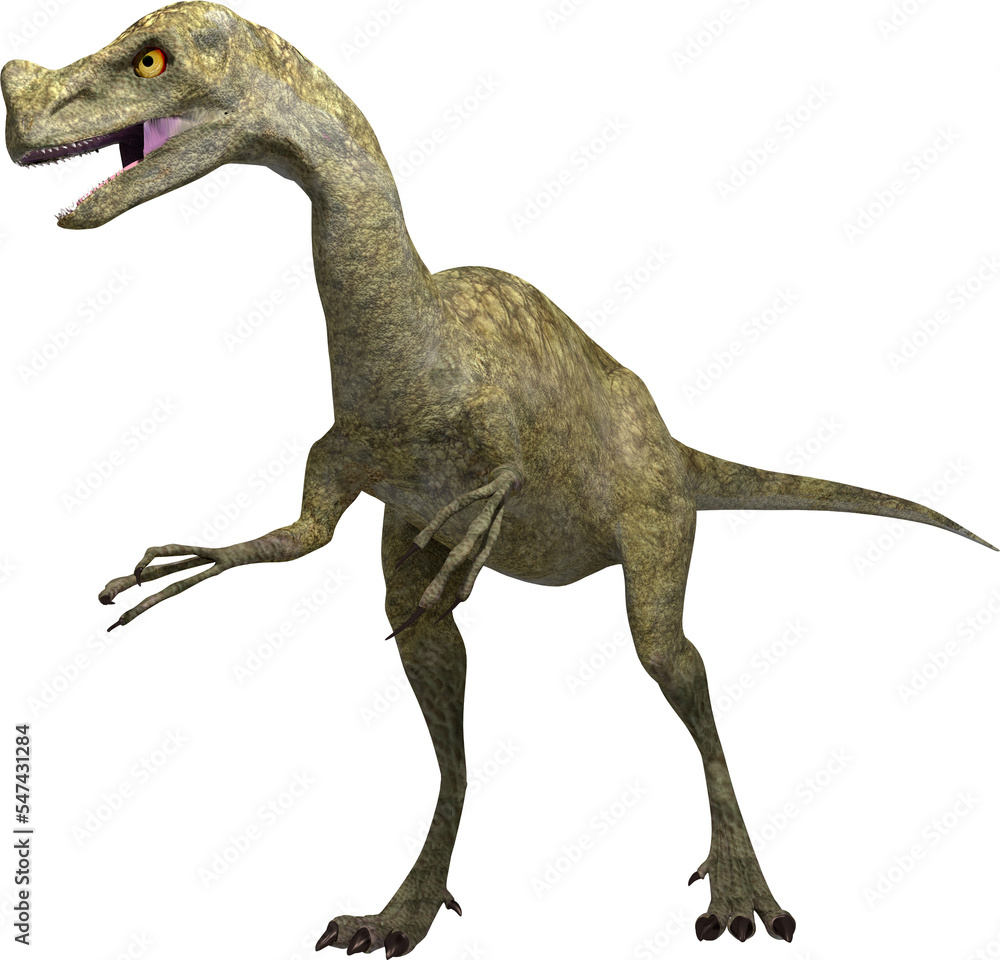 Dinosaur Ornitholestes on a Transparent Background Stock Illustration ...