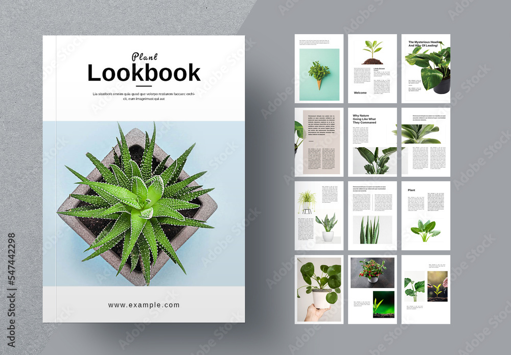 Plant Magazine Stock Template | Adobe Stock