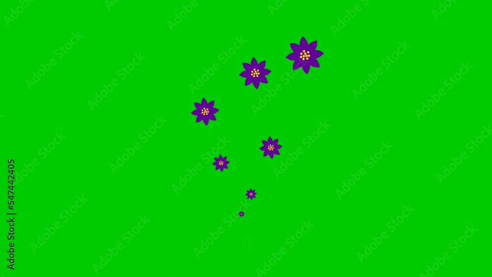 Animated violet beautiful flowers fly from bottom to top. A fountain of ...