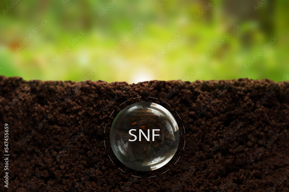 SNF.Transparent capsule underground on a green background. radioactive ...