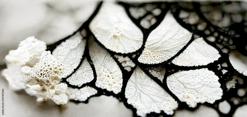 Abstract black lace design texture. Black and white abstract lace ...