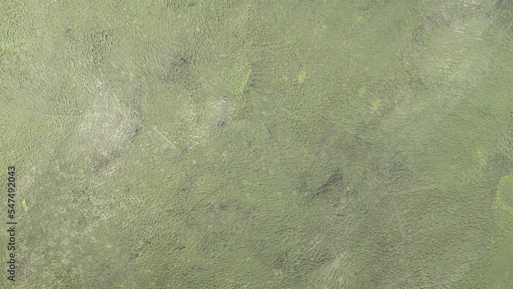 Abstract green background. Grunge texture painted surface. Earth green ...