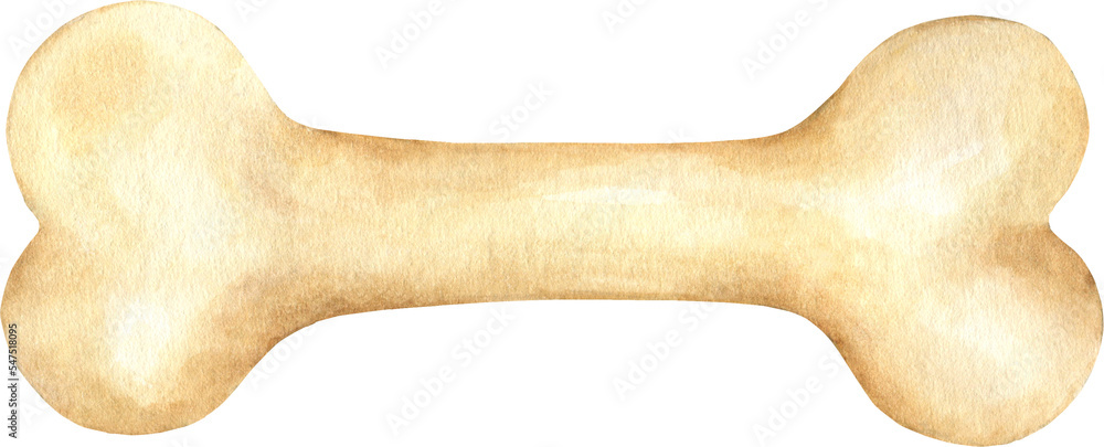 Hand-painted Watercolor dog bone illustration Watercolor realistic ...