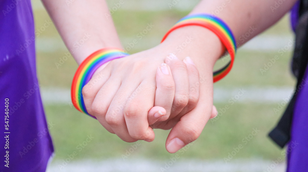 LGBT hands holding each other to show love concept for enhance genders ...