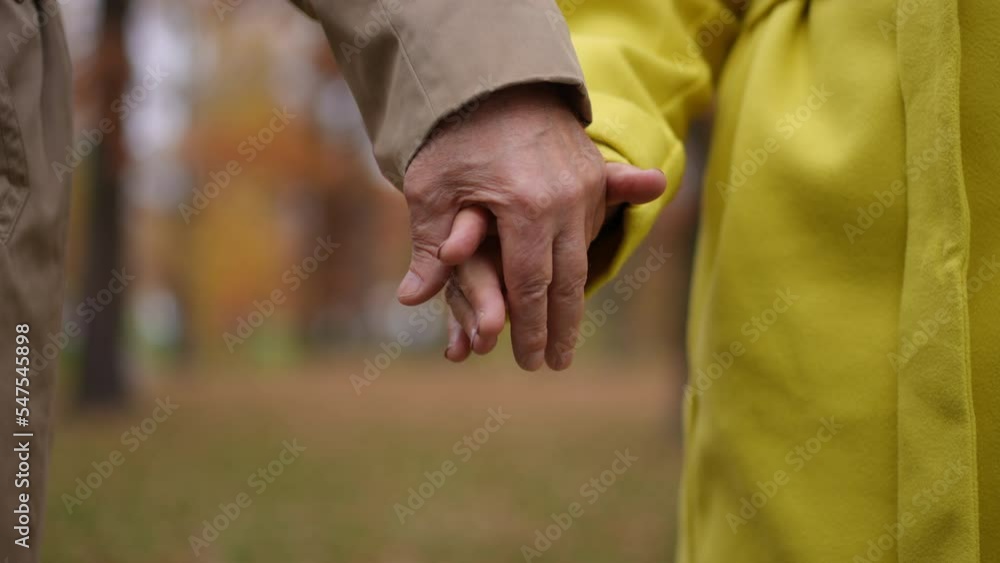Vidéo Stock Unrecognizable couple of retirees taking hands in slow ...