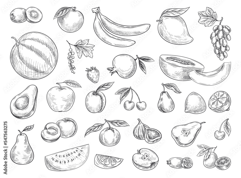 Set of hand drawn fruits and berries. Icons or stickers with watermelon ...