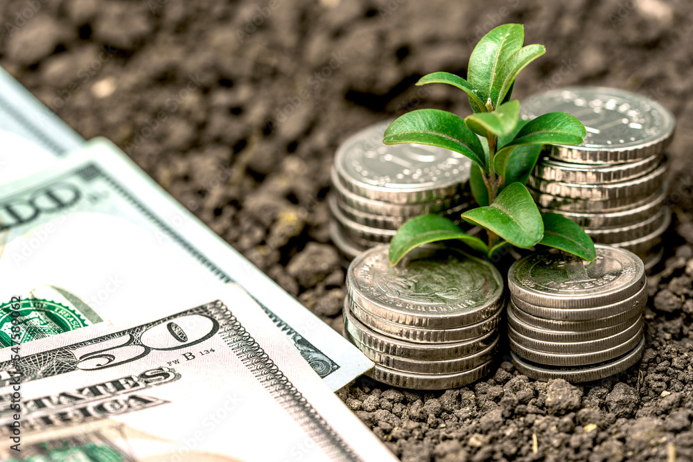 Money growth in soil with green leaves and trees concept, business and ...
