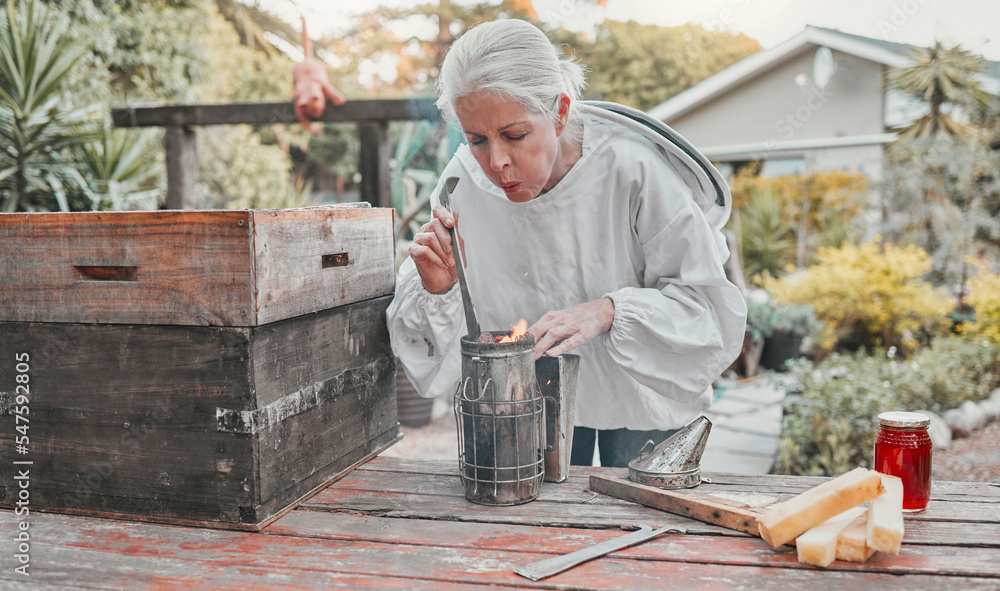 Fotografia do Stock: Smoking pot, farm and woman in honey production in ...