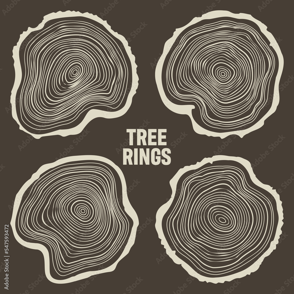 Round tree trunk cuts, sawn pine or oak slices, lumber. Saw cut timber ...