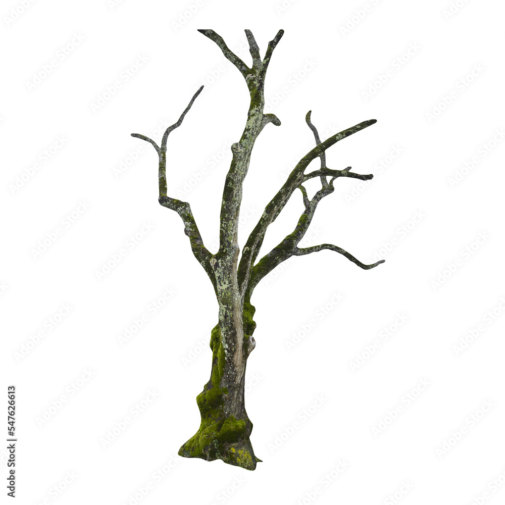 Isolated PNG cutout of a tree trunk on a transparent background Stock ...