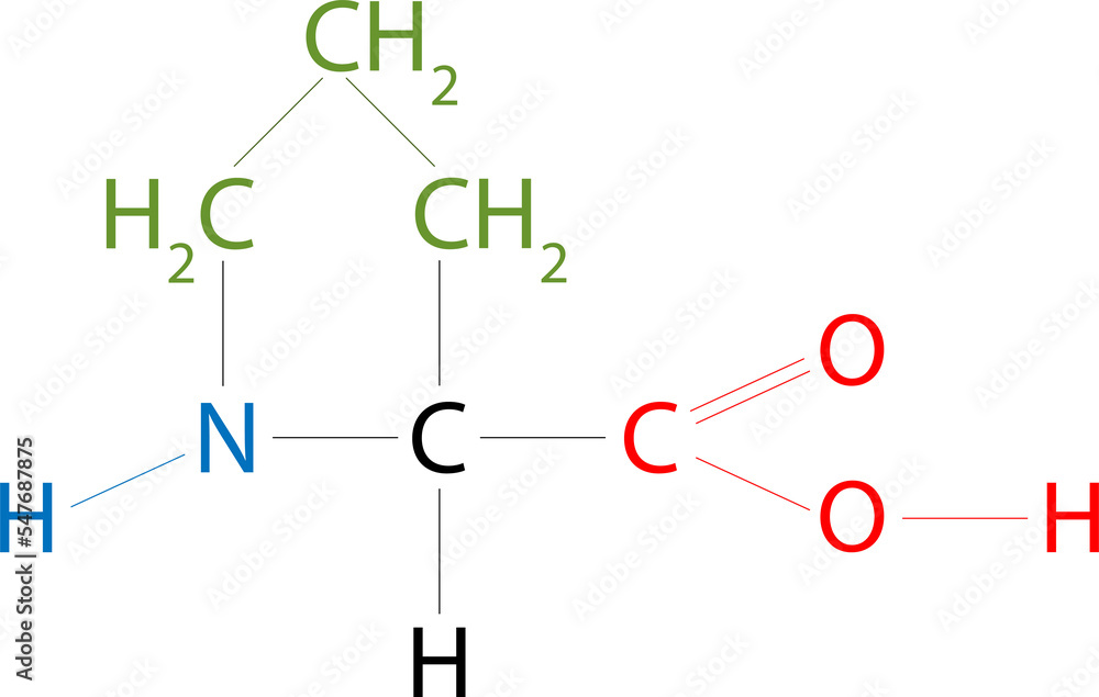 The structure of Proline. Proline is an organic acid classed as a ...