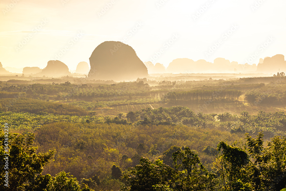 Blurred nature background view of naturally occurring trees and ...