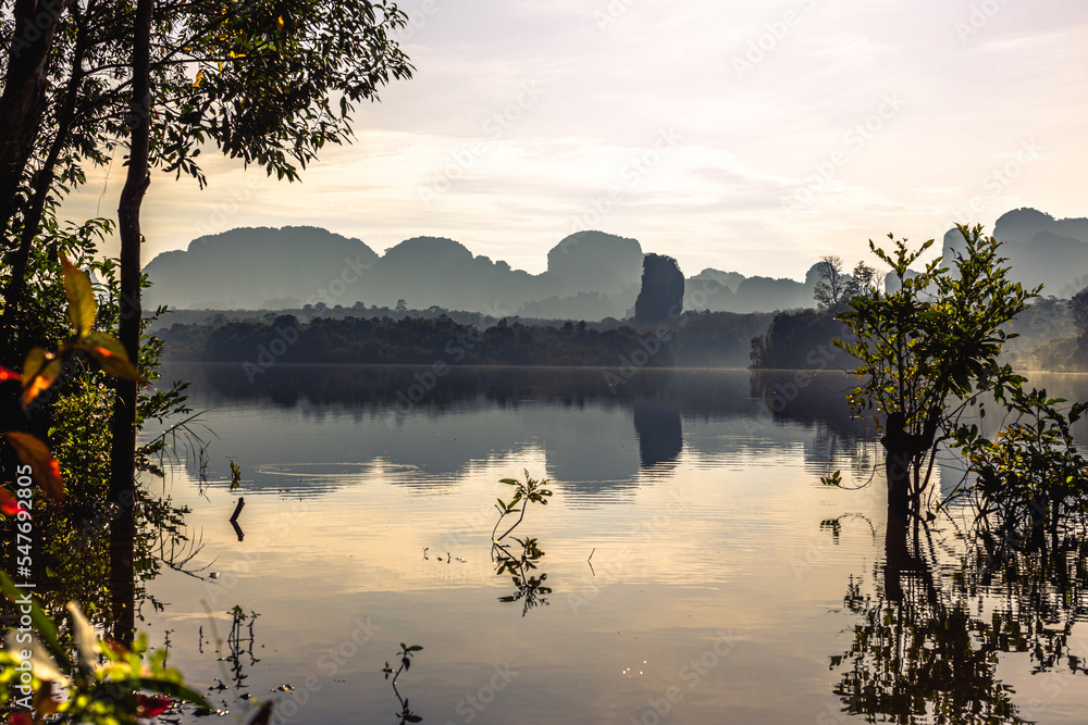 Blurred nature background view of naturally occurring trees and ...