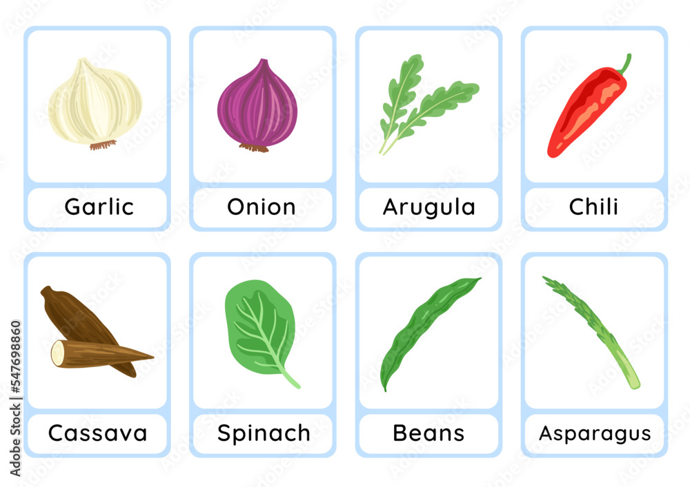 Vegetable flashcard collection for children education, printable ...
